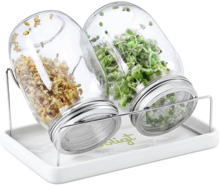 7 Best Sprouting Jars to Grow Sprouts in Your Kitchen - Microgreenology ...