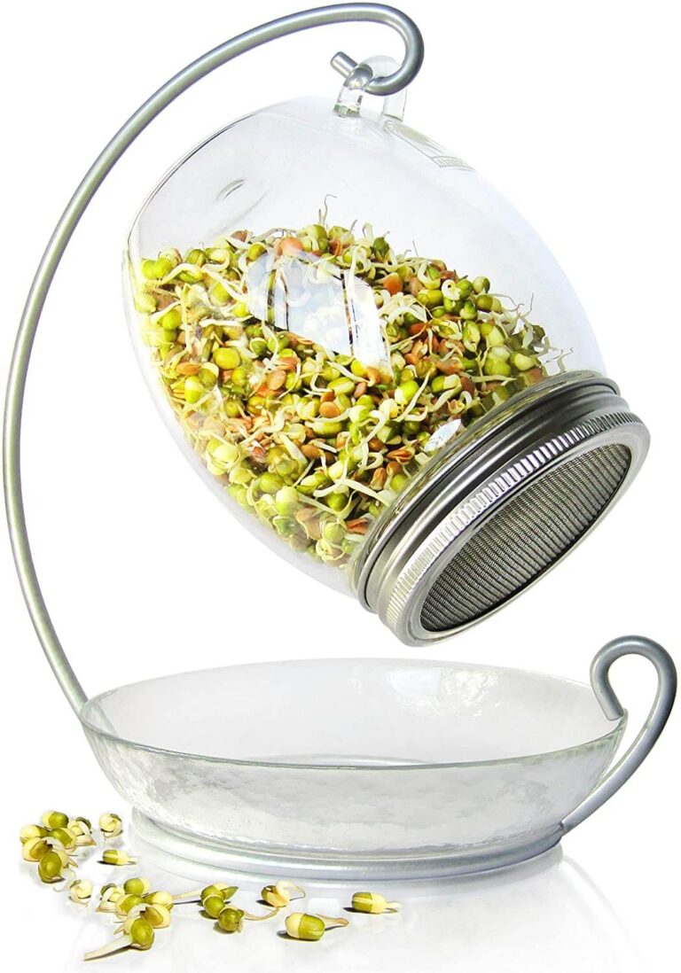 7 Best Sprouting Jars to Grow Sprouts in Your Kitchen - Microgreenology ...