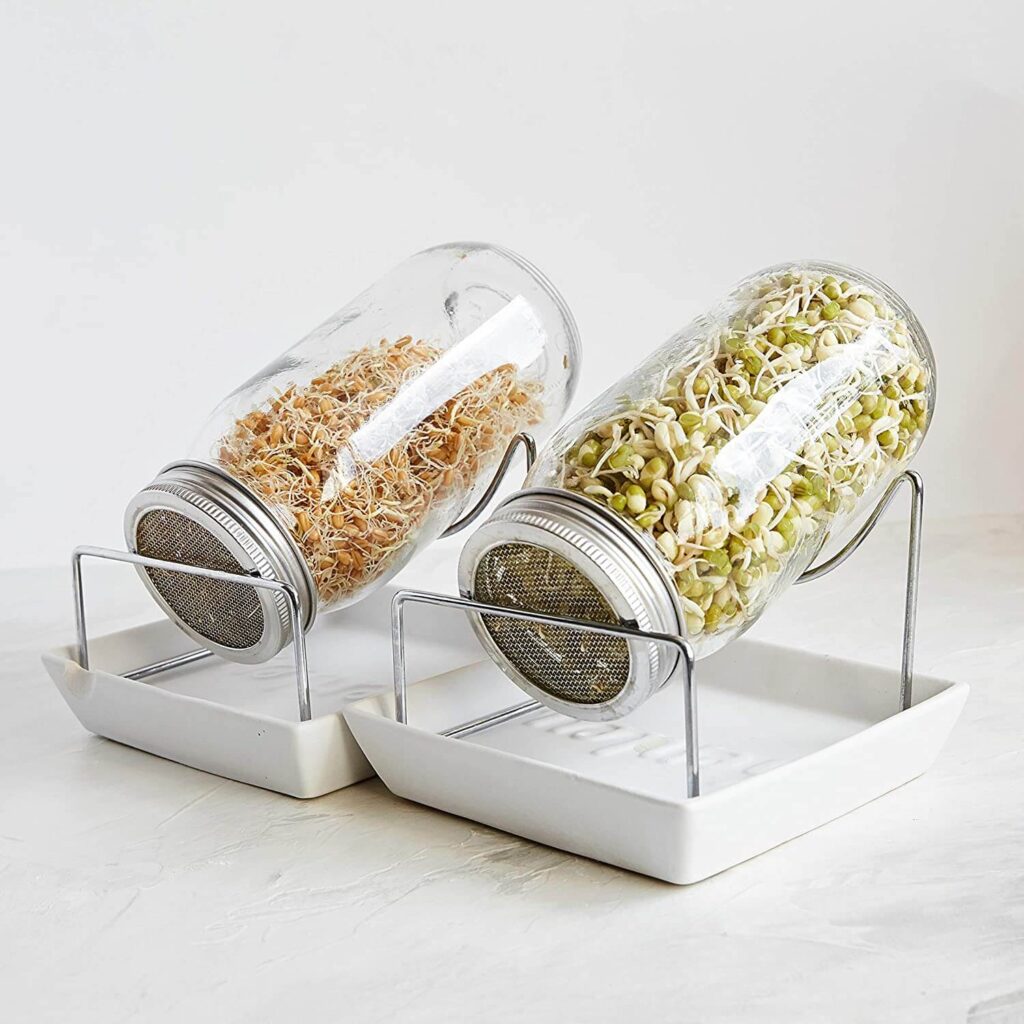 7 Best Sprouting Jars to Grow Sprouts in Your Kitchen - Microgreenology ...
